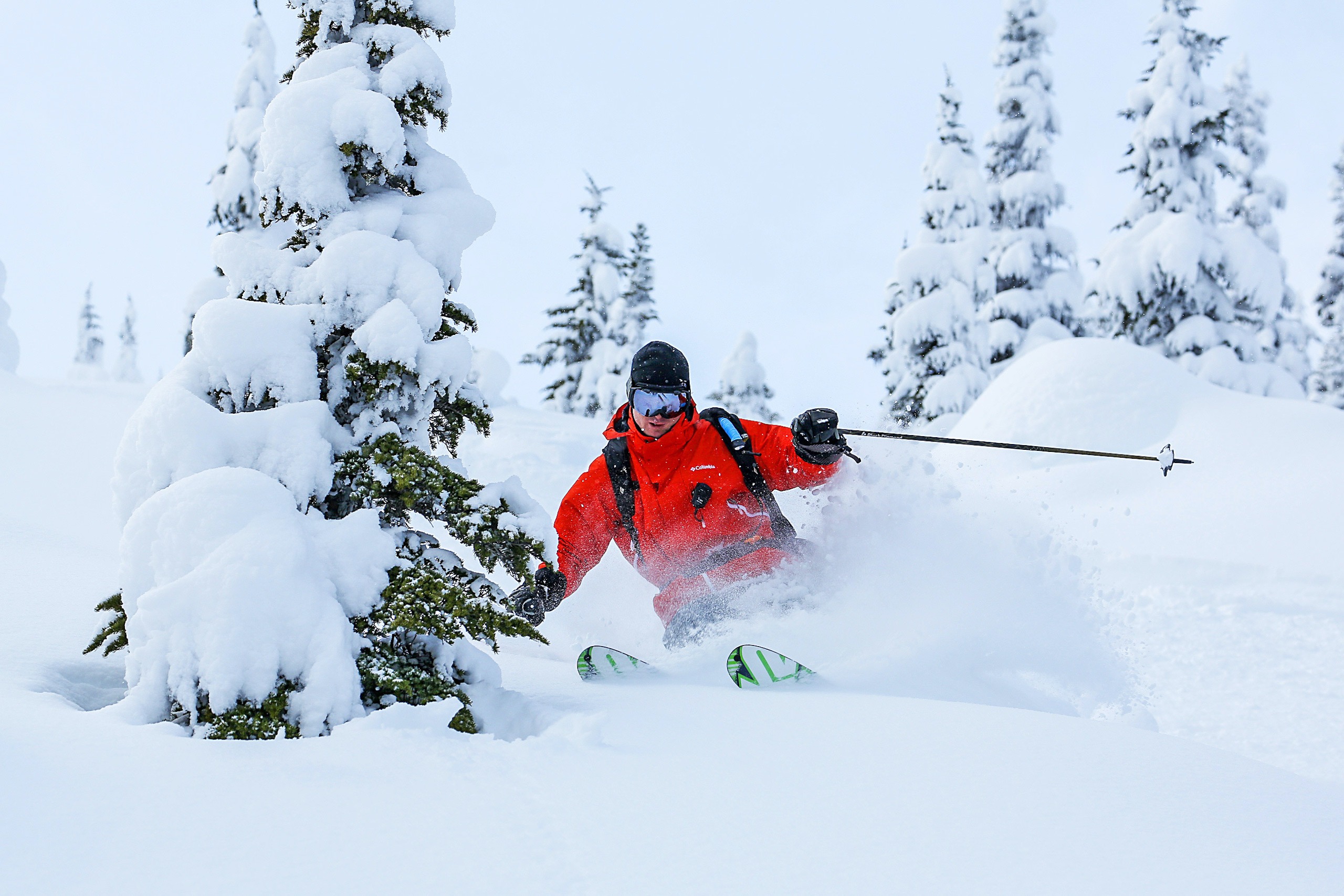 Revelstoke Backcountry Skiing - Powder Guides
